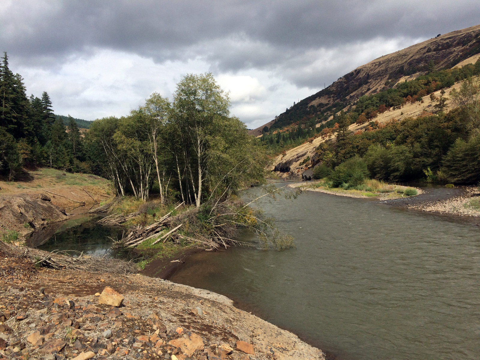 [Project Update] A River Reborn - Columbia Land Trust