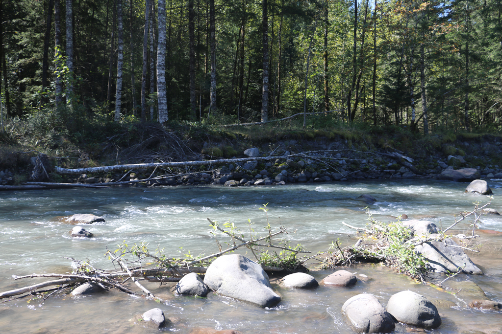 Sandy River Revival - Columbia Land Trust