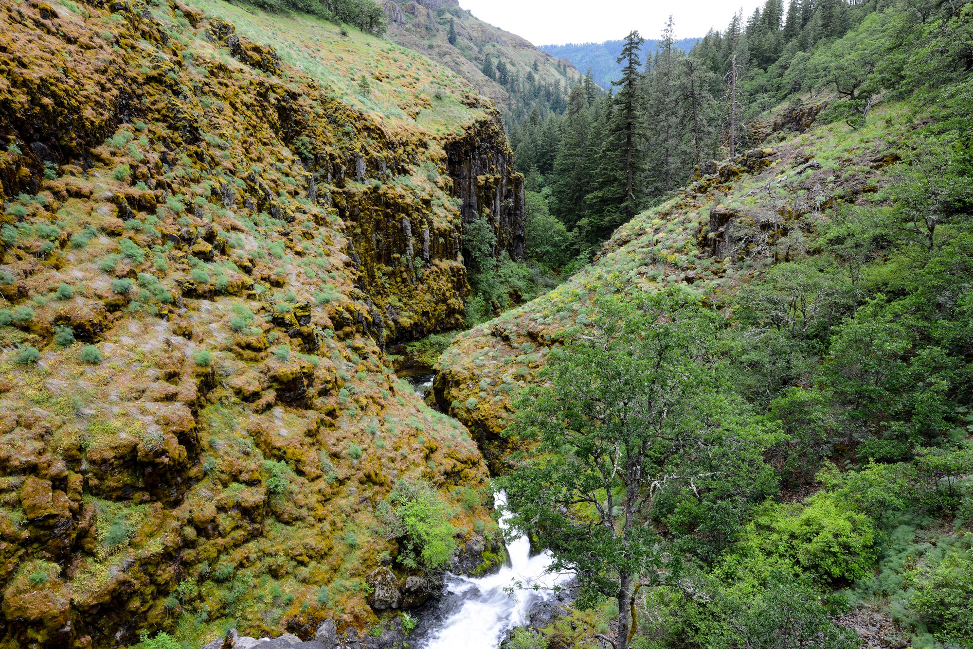 Summit-Creek-Falls,-Brian-Chambers-Photography_web - Columbia Land Trust