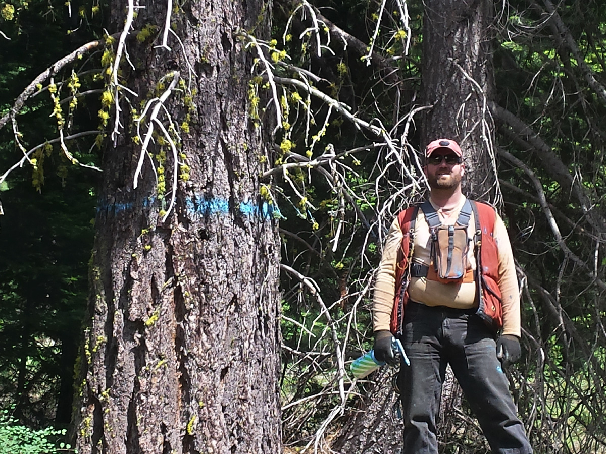 A Tree in Memoriam - Columbia Land Trust