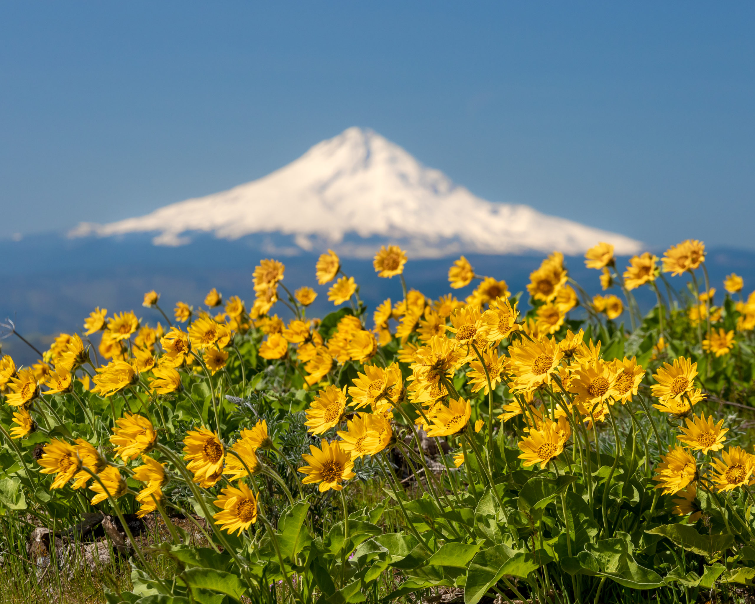 Get Outside Safely with Respect for Nature - Columbia Land Trust