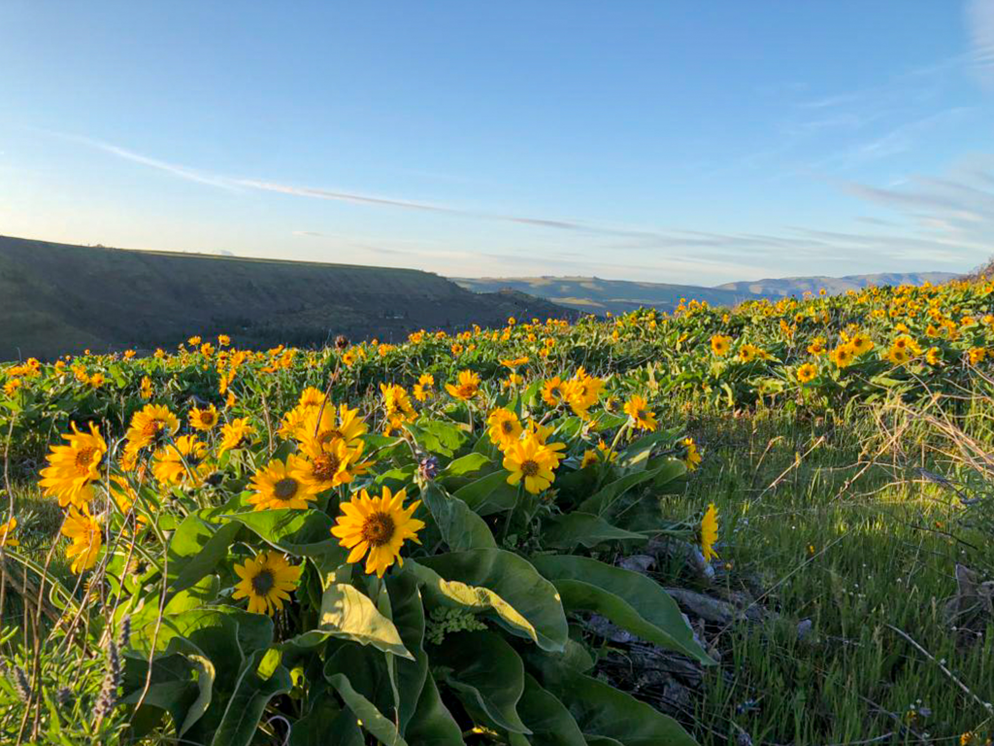 Welcoming Meg Rutledge - Columbia Land Trust