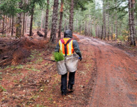 Meet our Staff - Columbia Land Trust