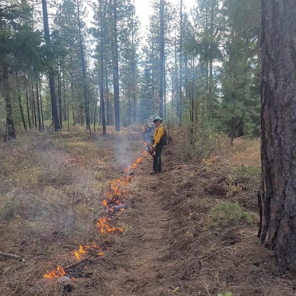 Good Fire in the Gorge - Columbia Land Trust