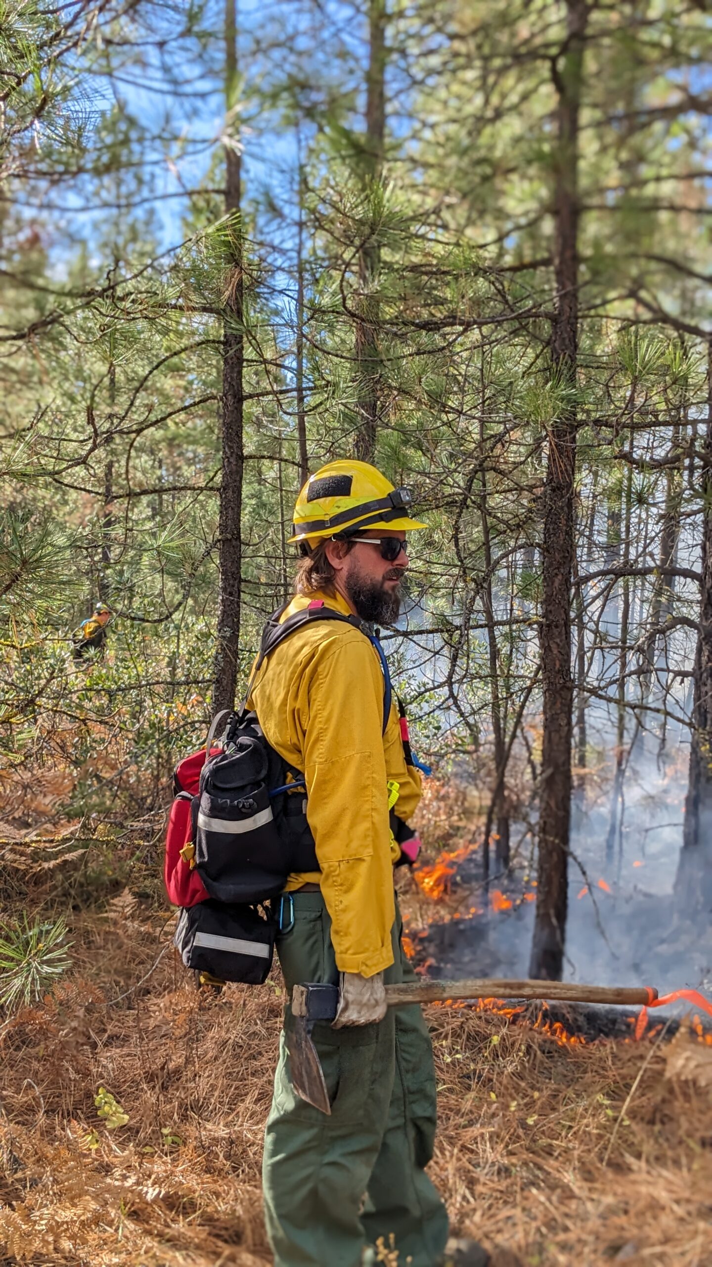 A Year of Beneficial Fire: 127 Acres Treated, Funding Secured to Further Forest Resilience ...